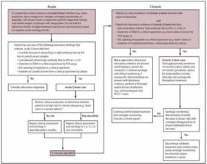 Human Circulatory System – Anatomy System – Human Body Anatomy diagram ...