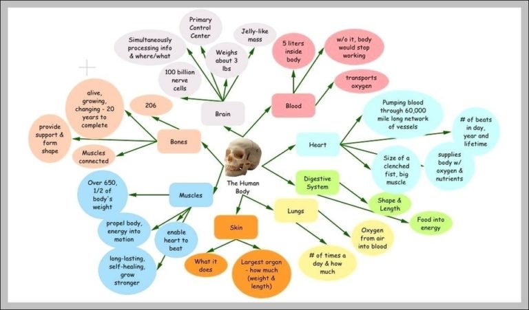 map | Anatomy System - Human Body Anatomy diagram and chart images