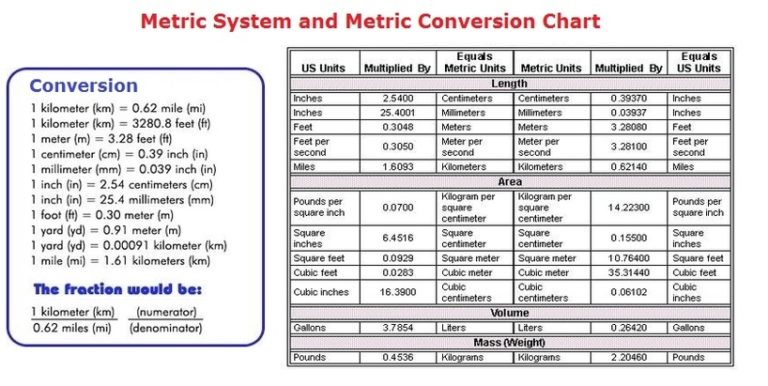 Metric System Image | Anatomy System - Human Body Anatomy diagram and ...