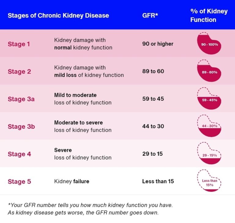 Chronic Kidney Disease Heatmap – Anatomy System – Human Body Anatomy ...