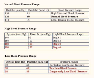 first aid what is normal blood pressure range | Anatomy System - Human ...