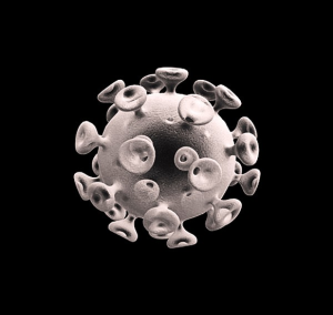 hiv molecule | Anatomy System - Human Body Anatomy diagram and chart images