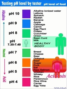human ph | Anatomy System - Human Body Anatomy diagram and chart images