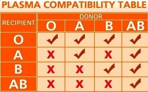 plasma compatibility table figure | Anatomy System - Human Body Anatomy ...
