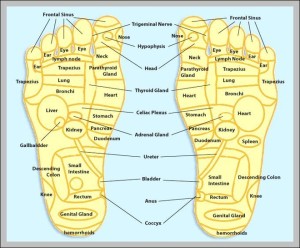 pressure points map | Anatomy System - Human Body Anatomy diagram and ...