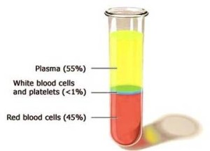 what is blood | Anatomy System - Human Body Anatomy diagram and chart ...